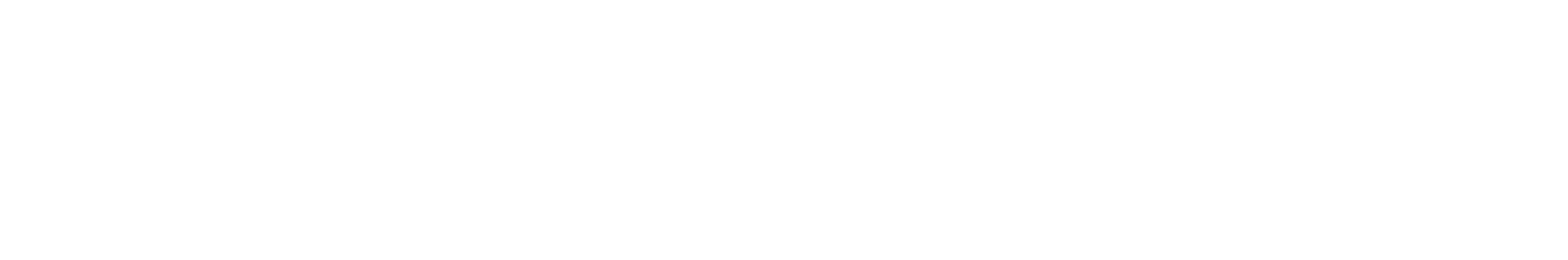 Daily Wrap | Wrapping Paper and Gift Wrapping Service